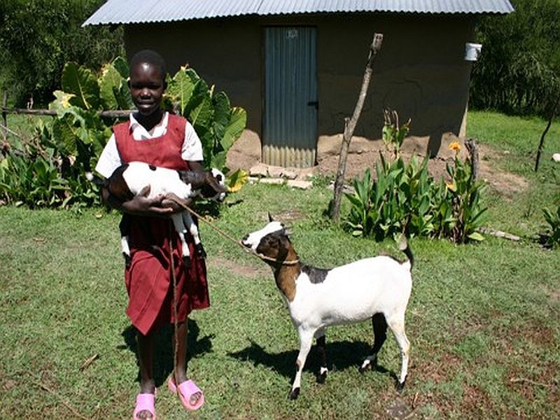 Otevřená škola | ShineBean